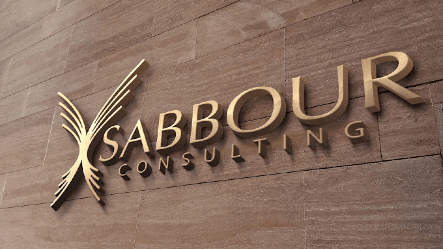 Our Team - Sabbour Consulting