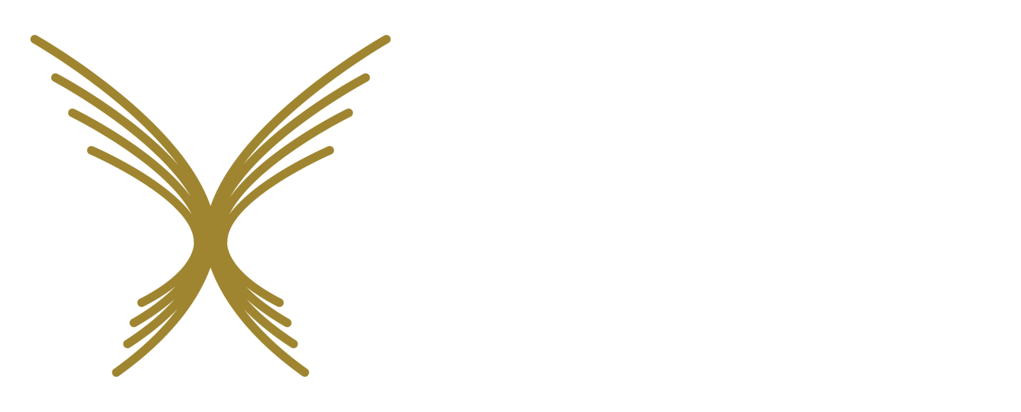Sabbour Consulting
